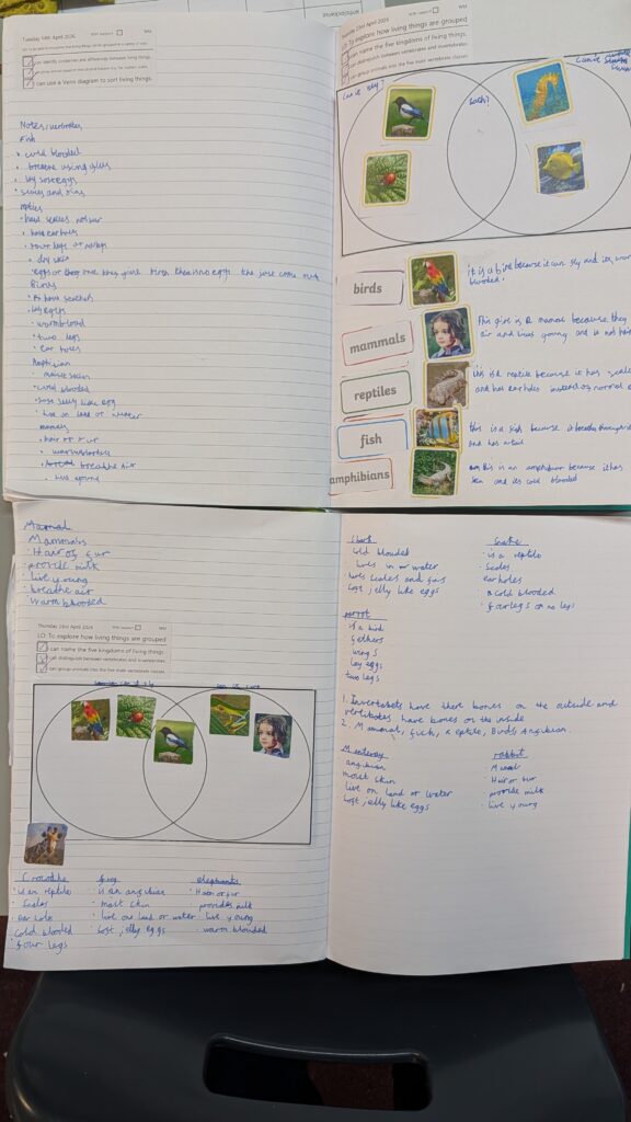 Summer 1 – Week 2 – The Webspace For Class 4