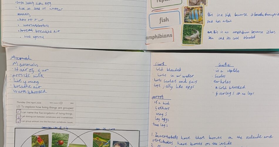 Summer 1 – Week 2 – The Webspace For Class 4