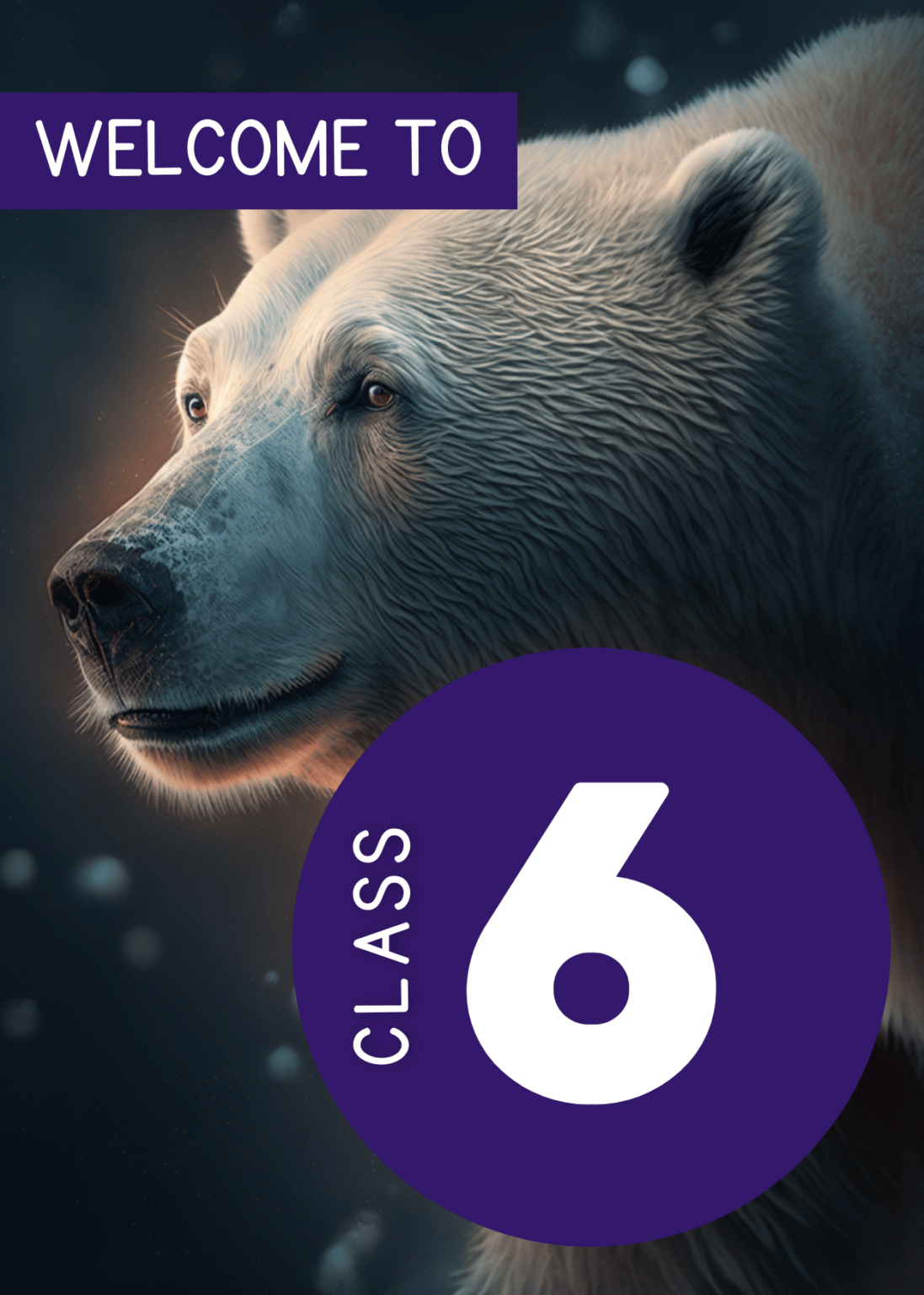 The Webspace For Class 6